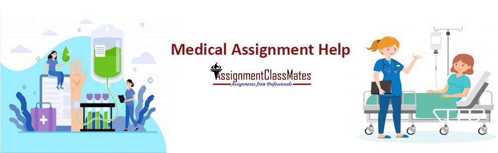 Medical Assignment Help – Healthcare Field Writing Expert